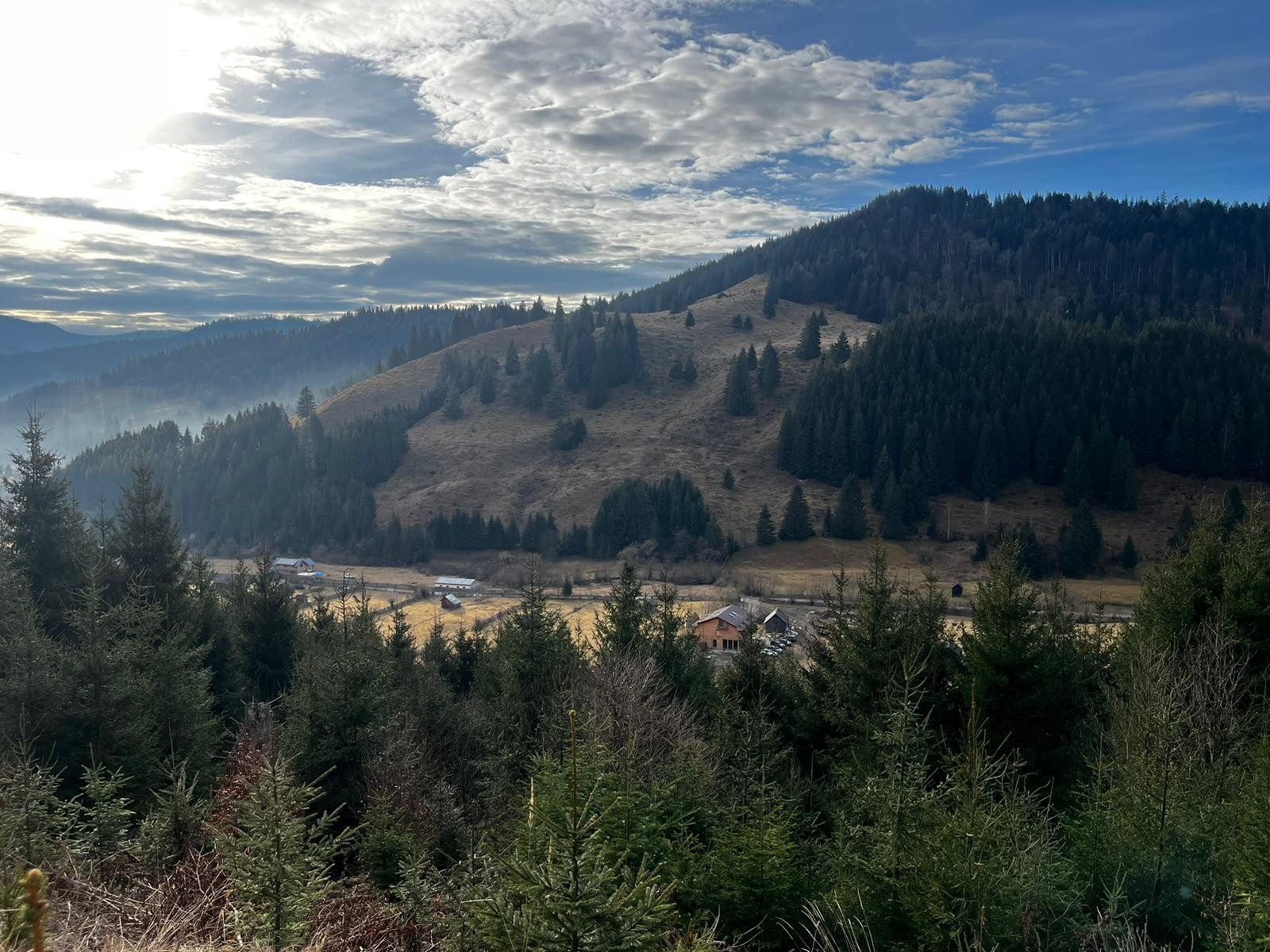 Despre noi – Wild Experience Fest