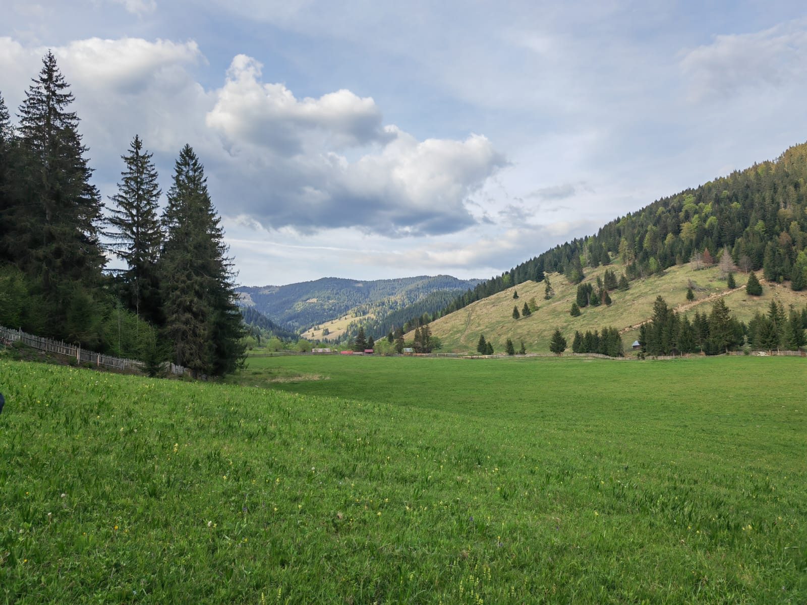 Activitati – Wild Experience Fest